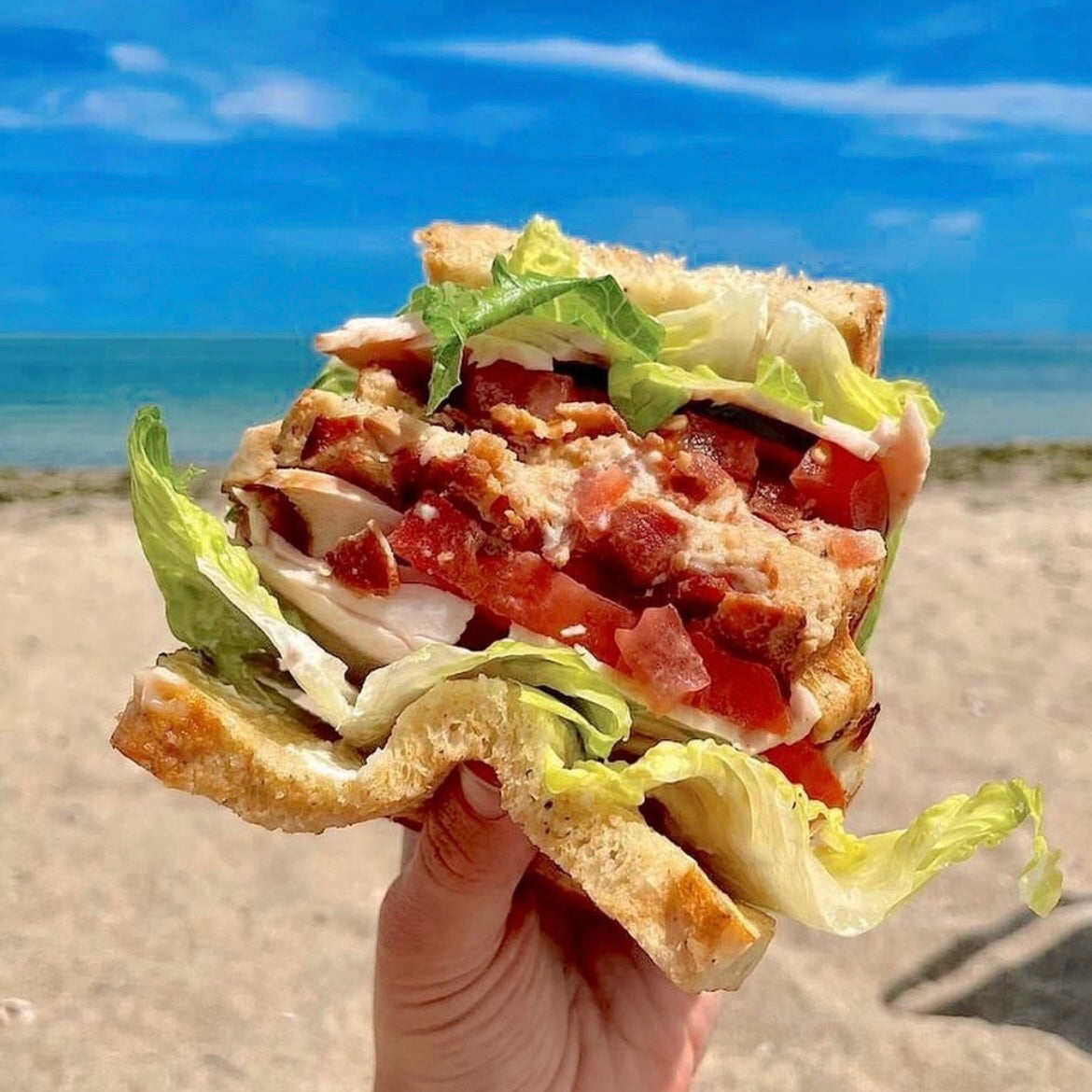 Best BLTs on the Cape and Islands – Capeology