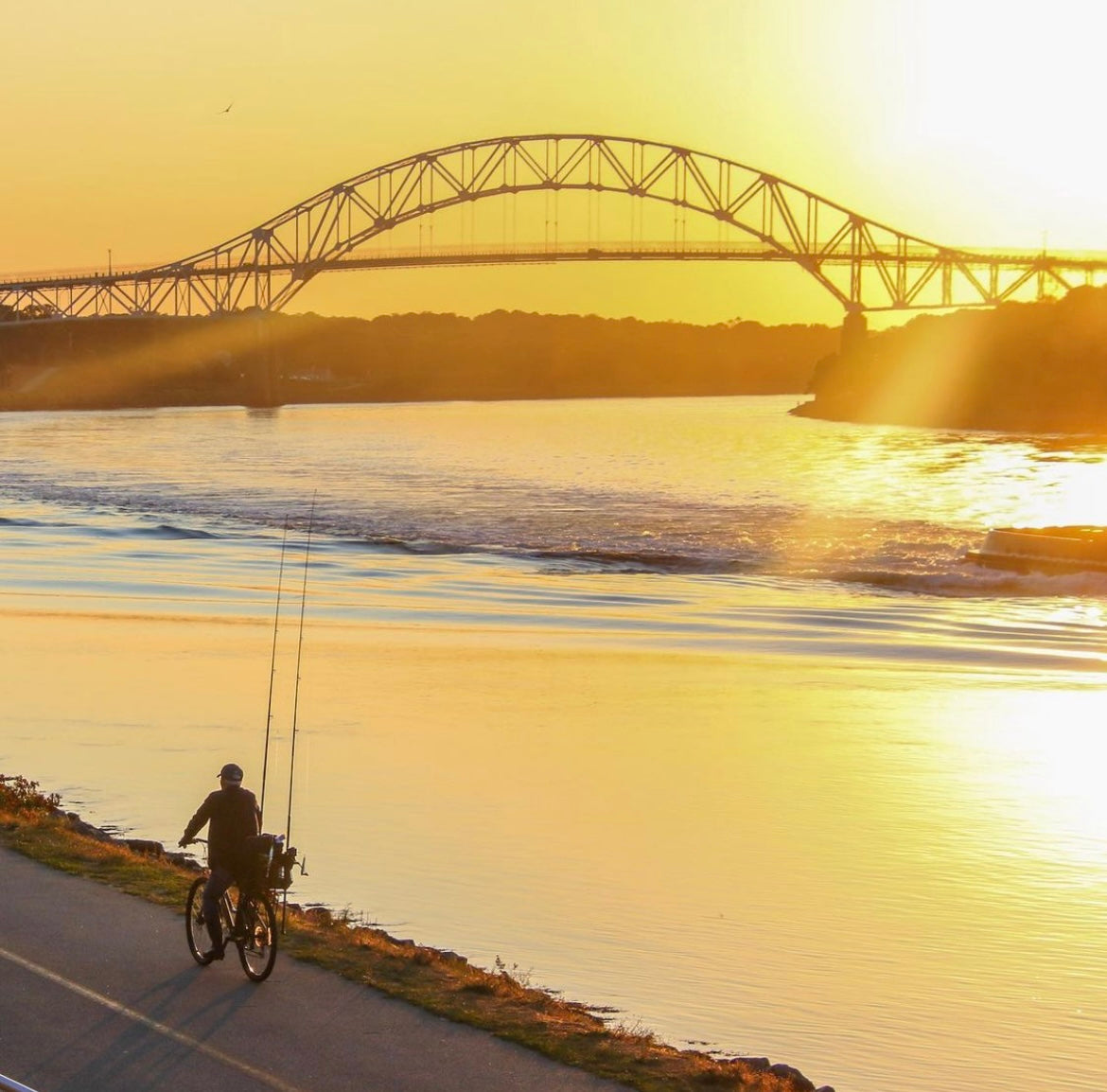 Bourne Guide – Capeology