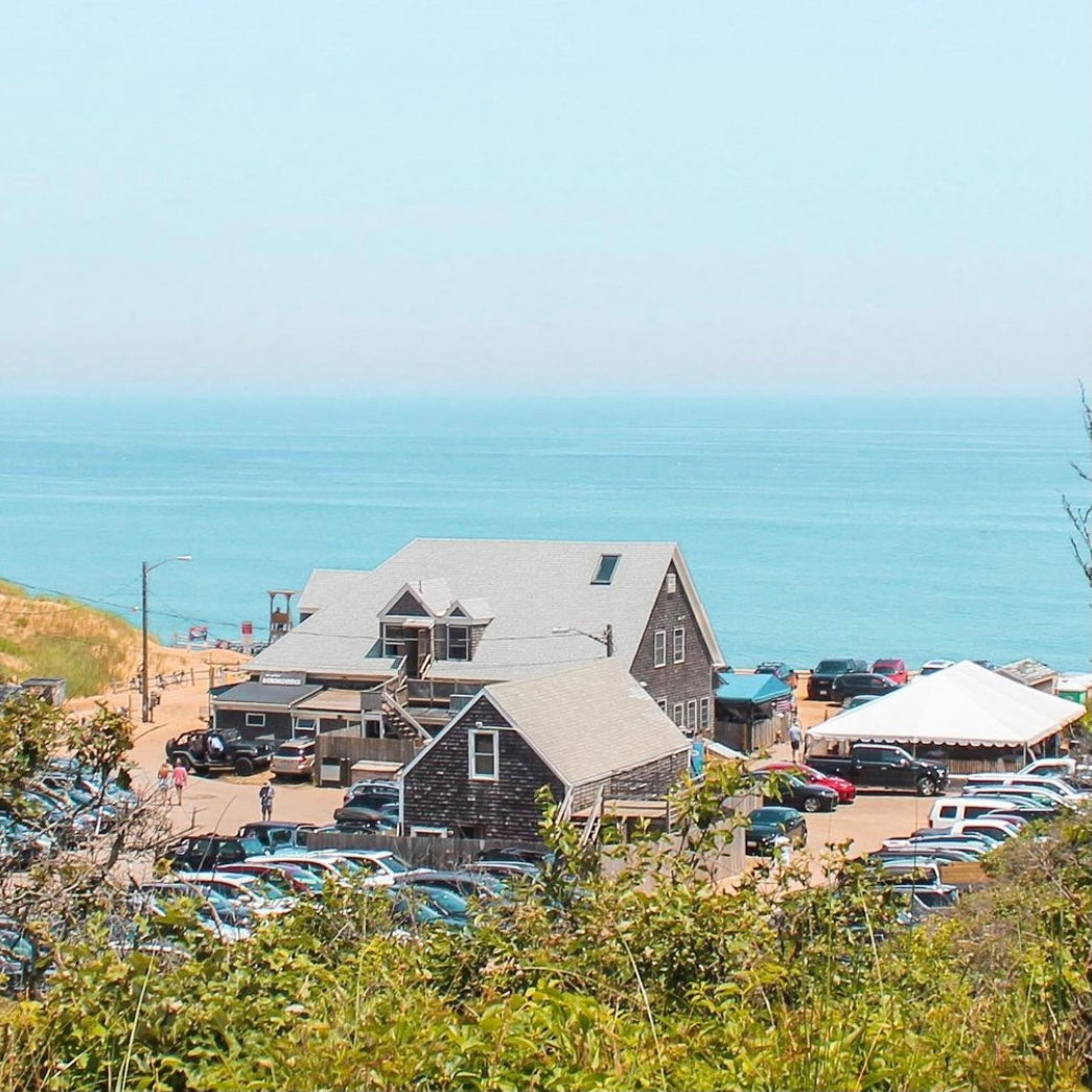 Wellfleet Guide – Capeology